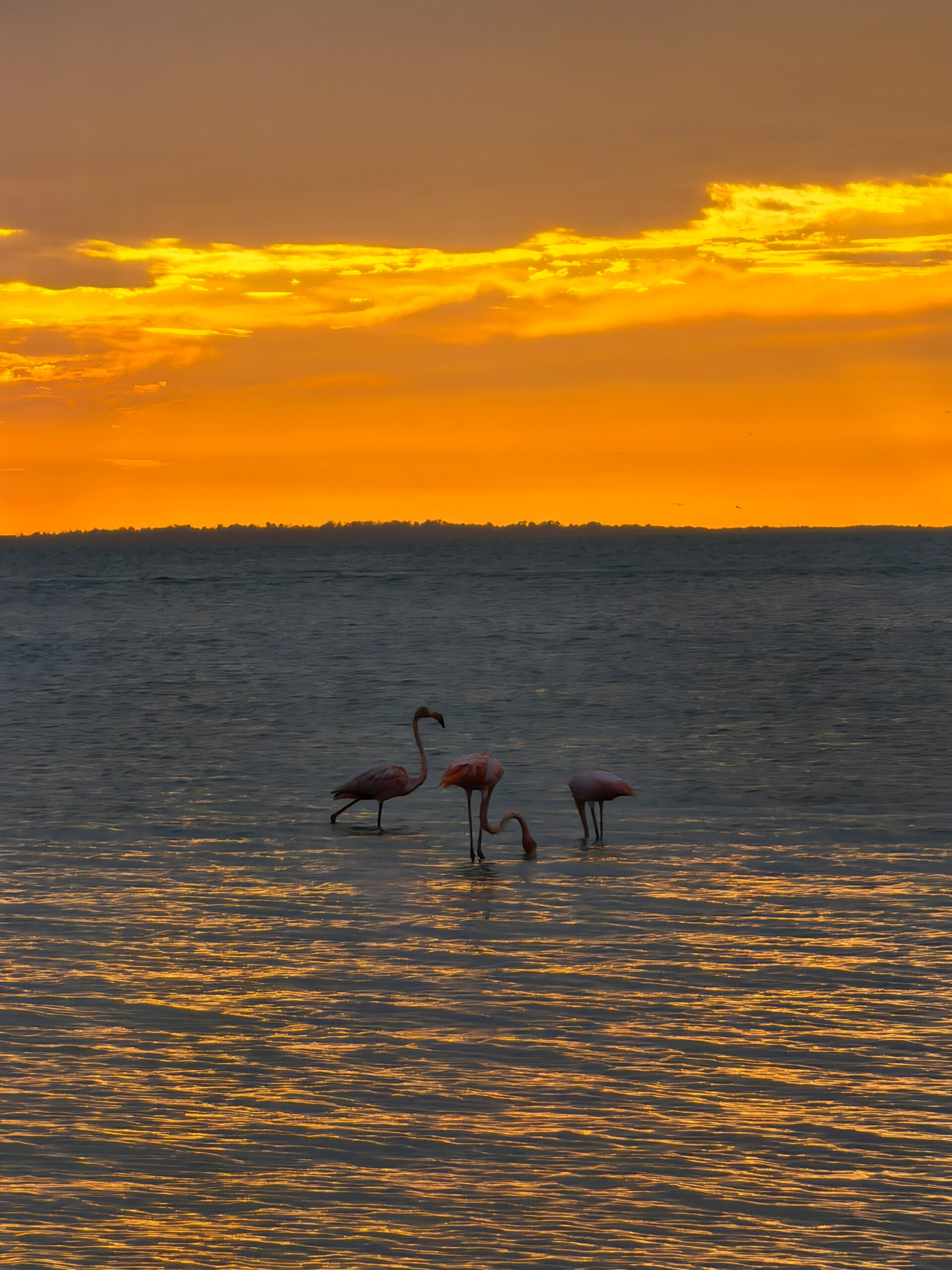 Experience Punta Cocos Beach Club | La Familia Casa & Suites